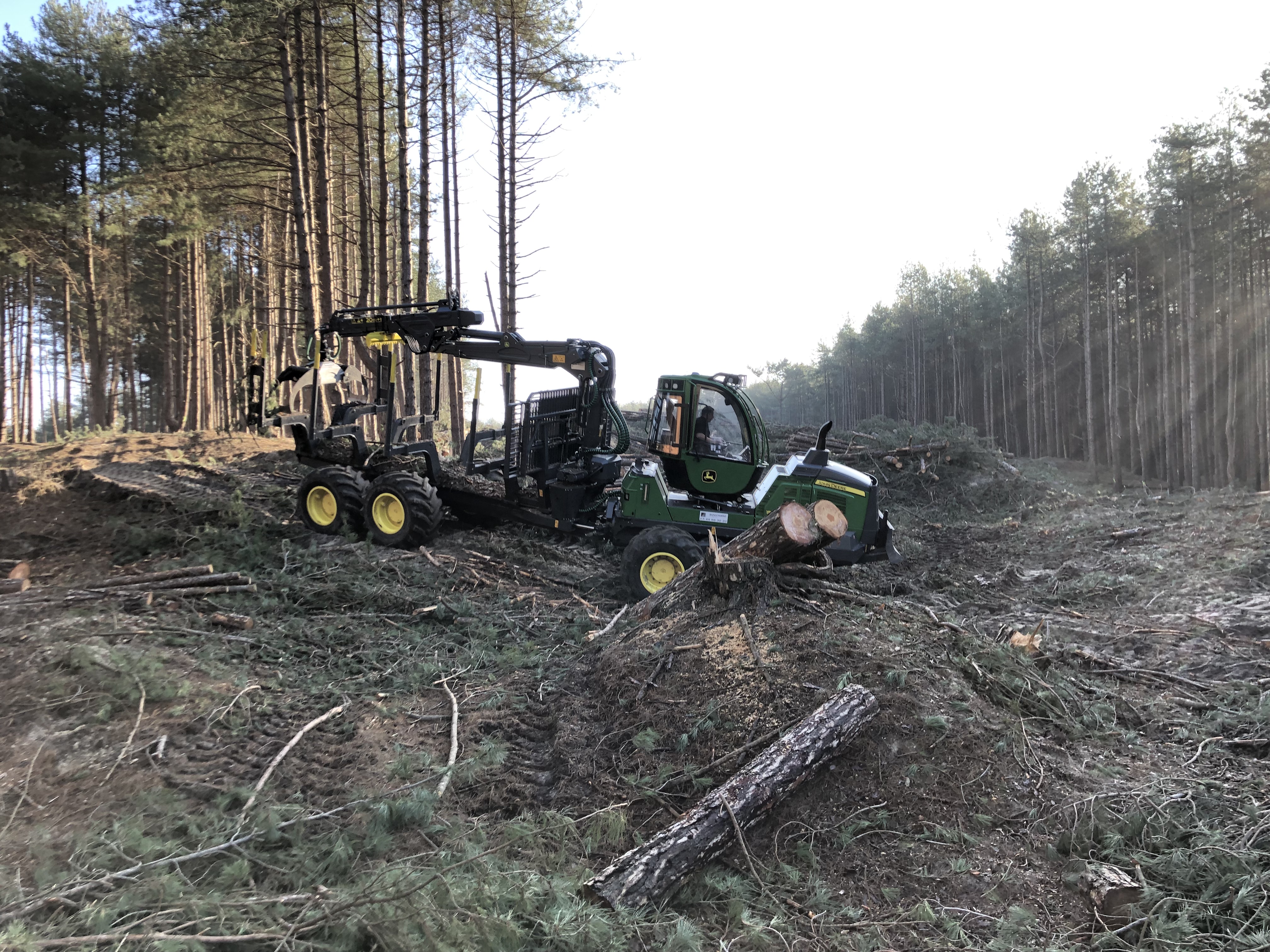 Travaux Forestiers - DEE Environnement Elagage